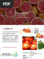 Qué Es La Suberina y Cuál Es Su Función | PDF | Ciencia y matemáticas