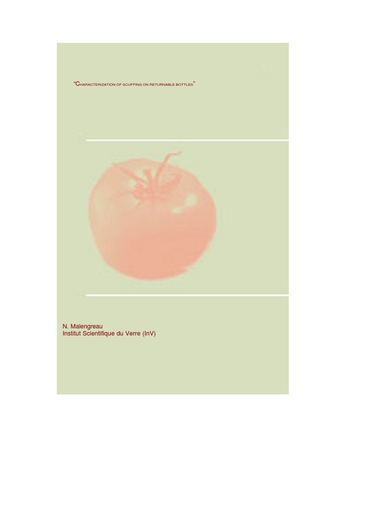 Scuffing Analysis on Returnable Bottles | PDF | Measurement | Glasses