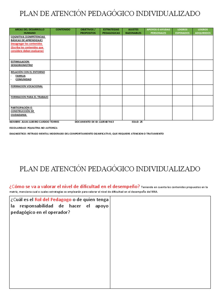 Papi - Plan de Atención Pedagogico Individualizado | PDF