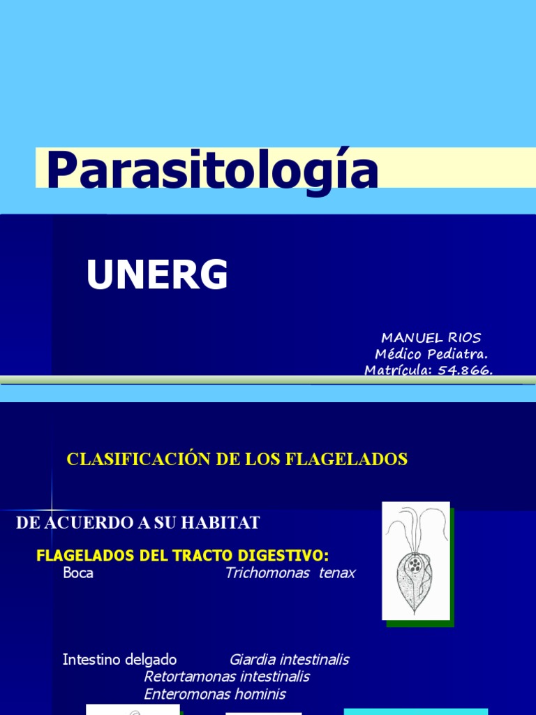 Flagelados Intestinales y Cavitarios Clase 3 | PDF | Especialidades ...