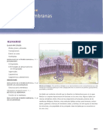 Check Up Básico Q45 en Chopo | PDF