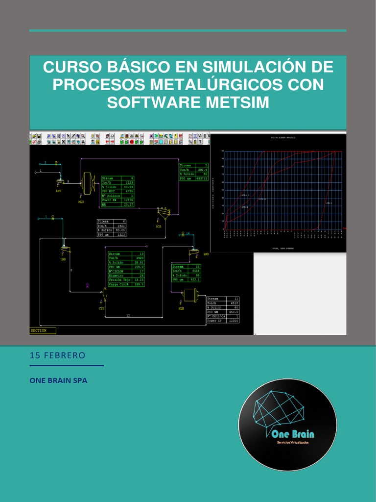 Curso Básico Metsim 2021 - Obn | PDF