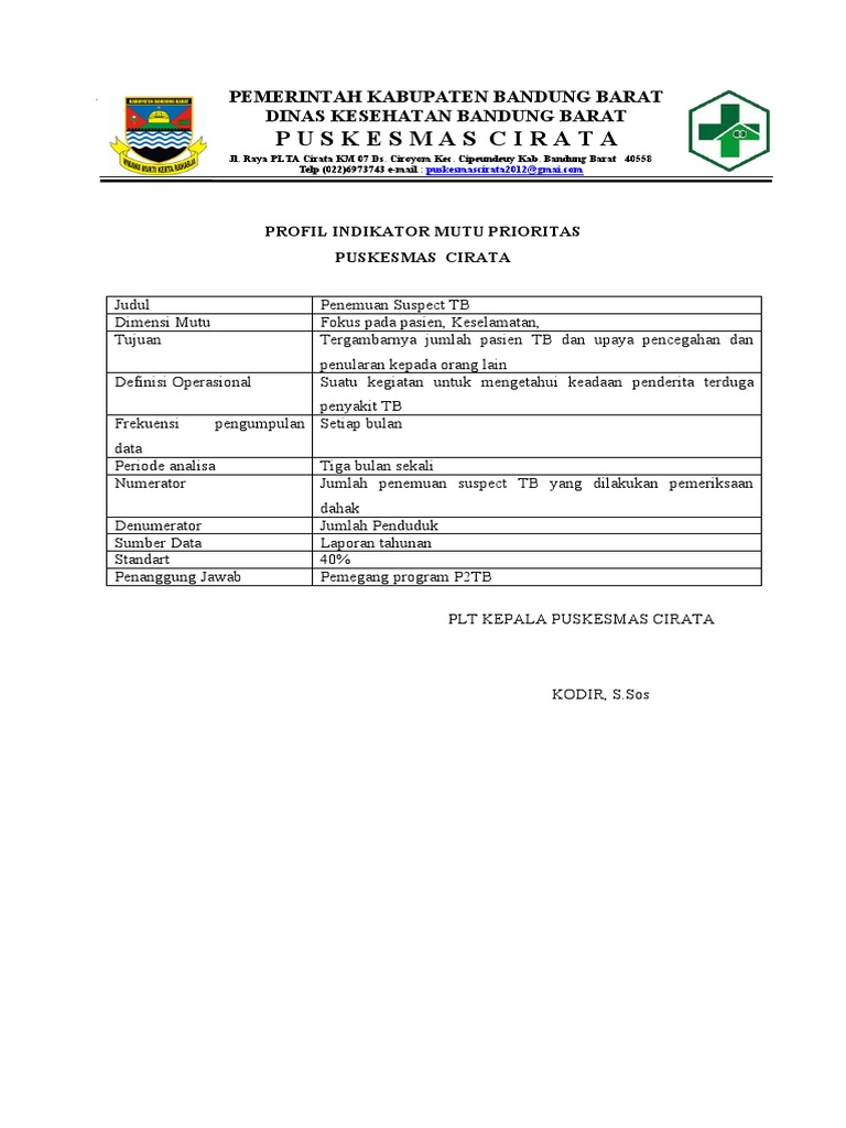 Profil Indikator Mutu Prioritas Puskesmas Cirata | PDF