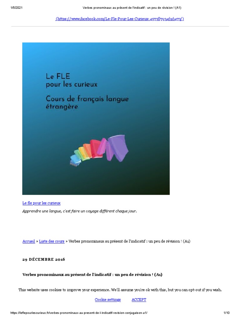 Verbes Pronominaux Au Présent de L'indicatif - Un Peu de Révision ! (A1 ...