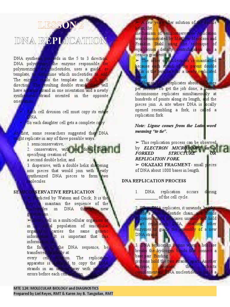 Lesson 2B - DNA Replication | PDF | Dna Replication | Primer (Molecular ...