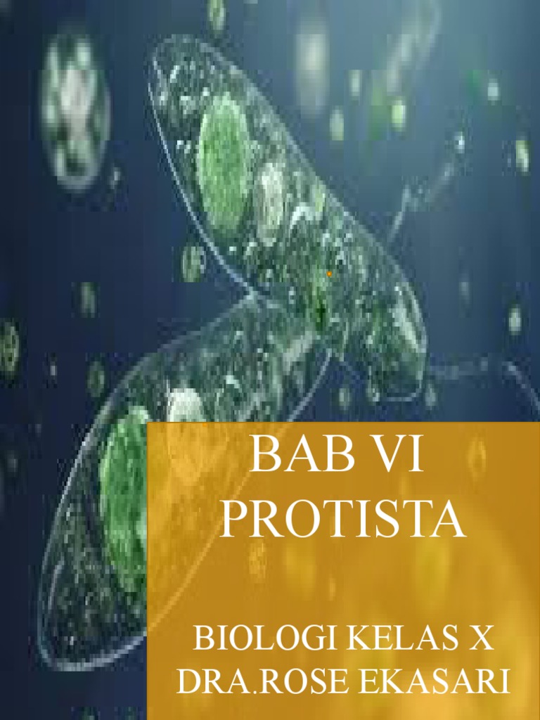 Protista Kelas X E-Book | PDF