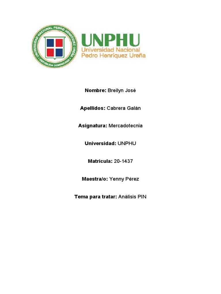 Analisis Pin Pdf Producto Negocio Mercado Economía