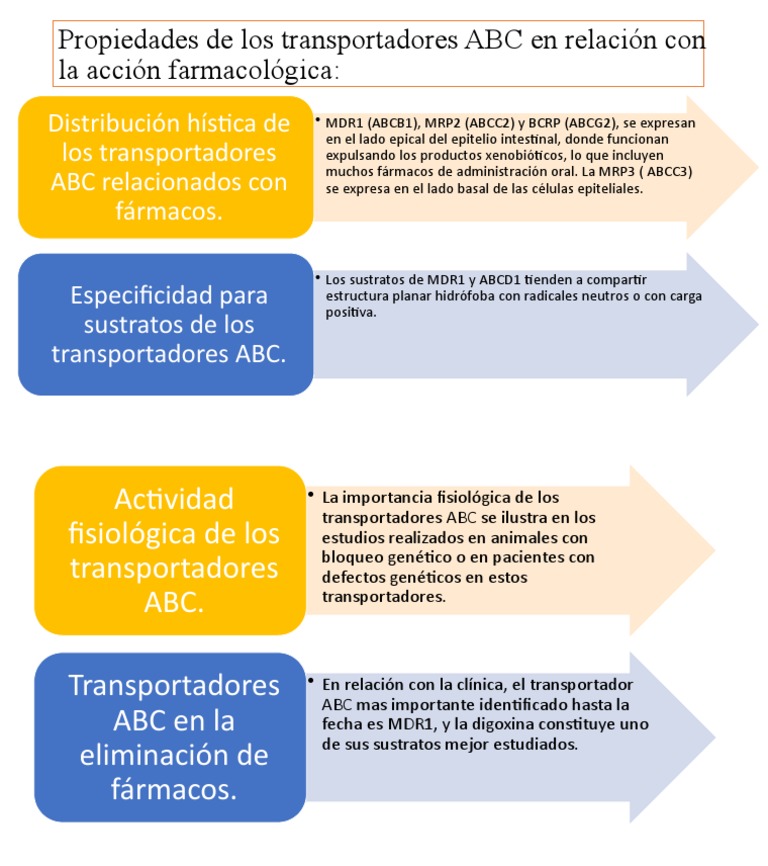 Propiedades de Los Transportadores ABC en Relación Con | PDF