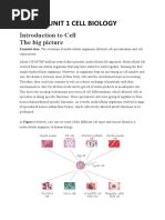 IBDP Biology Syllabus (2025) | PDF | Dna | Nucleotides