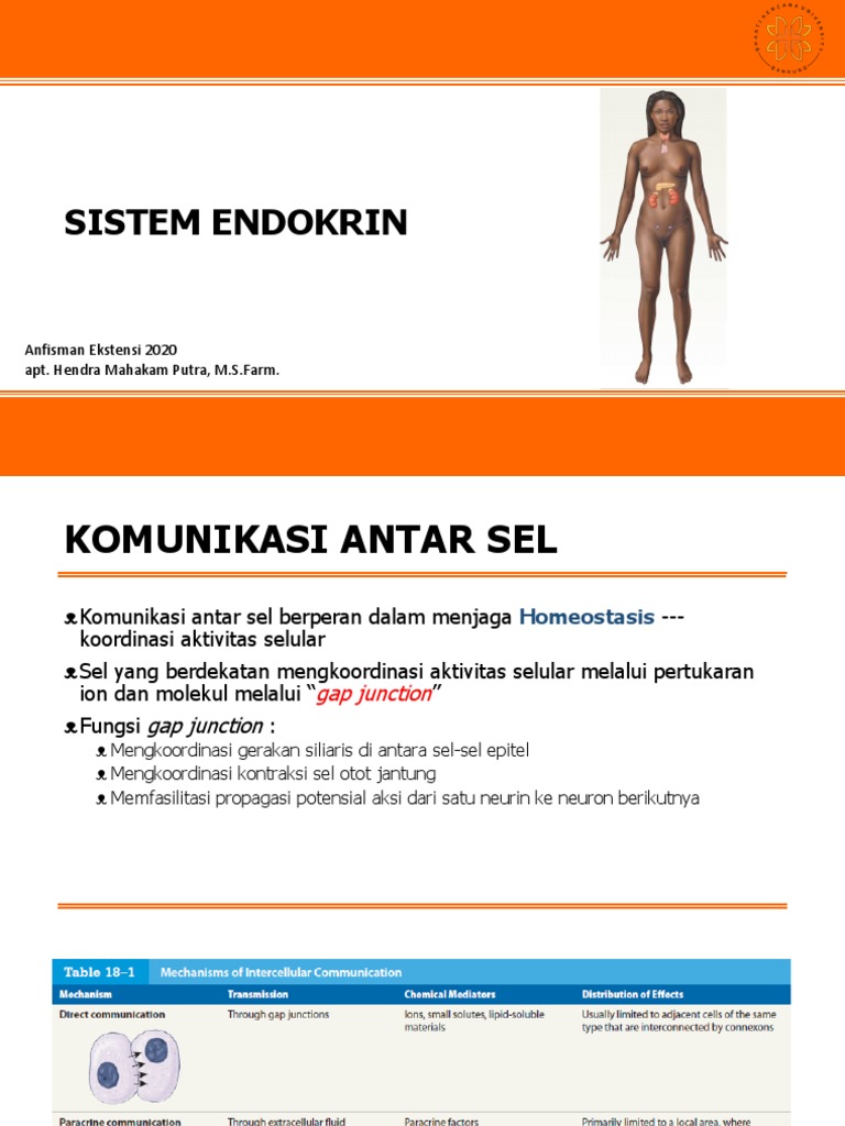 Sistem Endokrin | PDF