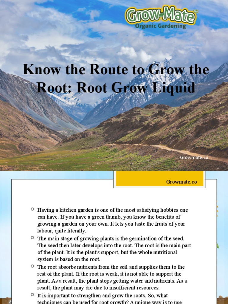 Know The Route To Grow The Root: Root Grow Liquid | PDF | Root | Plants