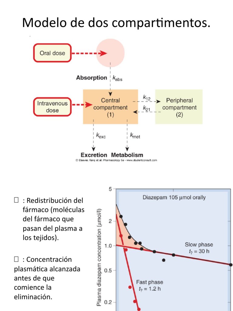Modelo de Dos Compartimentos | PDF