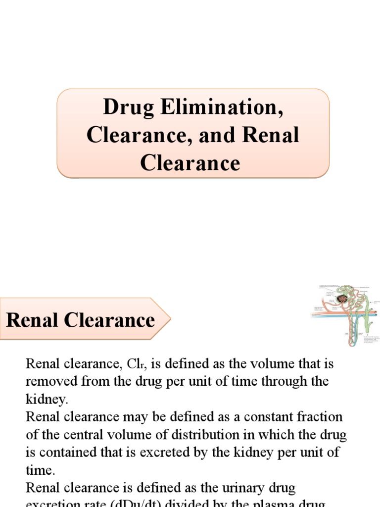 Drug Clearance Methods & Renal Clearance Calculations | PDF | Kidney ...