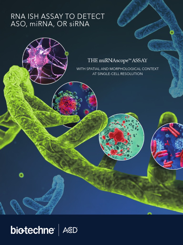 Mi Rna Scope Brochure | PDF | In Situ Hybridization | Micro Rna