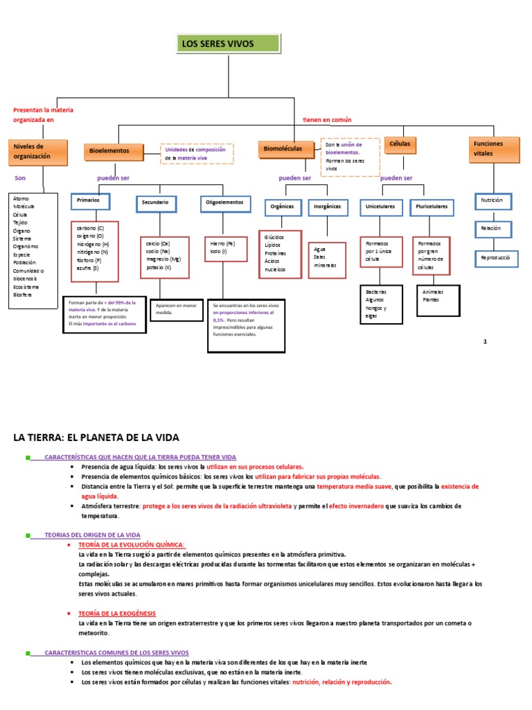Los niveles de organización de la materia viva y las características ...