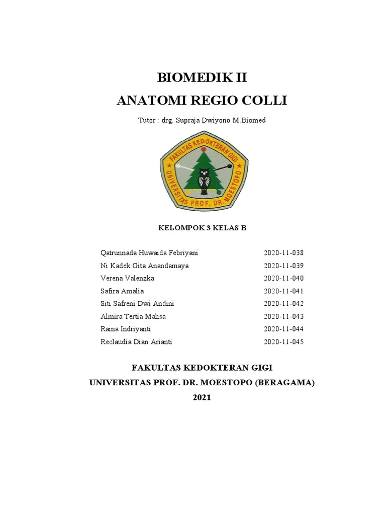 B3 - Biomedik 2 - Topik 4 - Anatomi Regio Colli | PDF