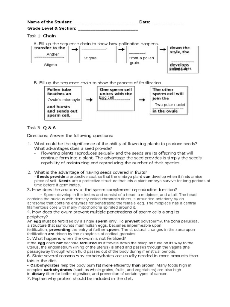 Gen Bio 2 Summative Test Q4 Week 1 and 2 | PDF | Fertilisation | Sperm