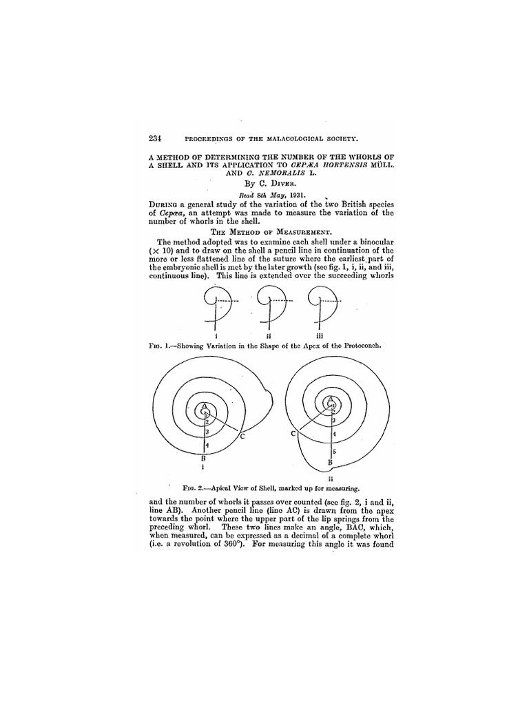 A Method To Determinate The Number of Whorls of The Shell and Its ...