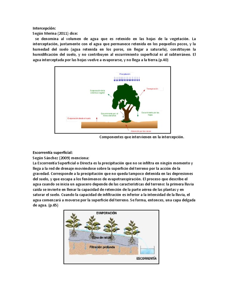4 Intercepcion | PDF