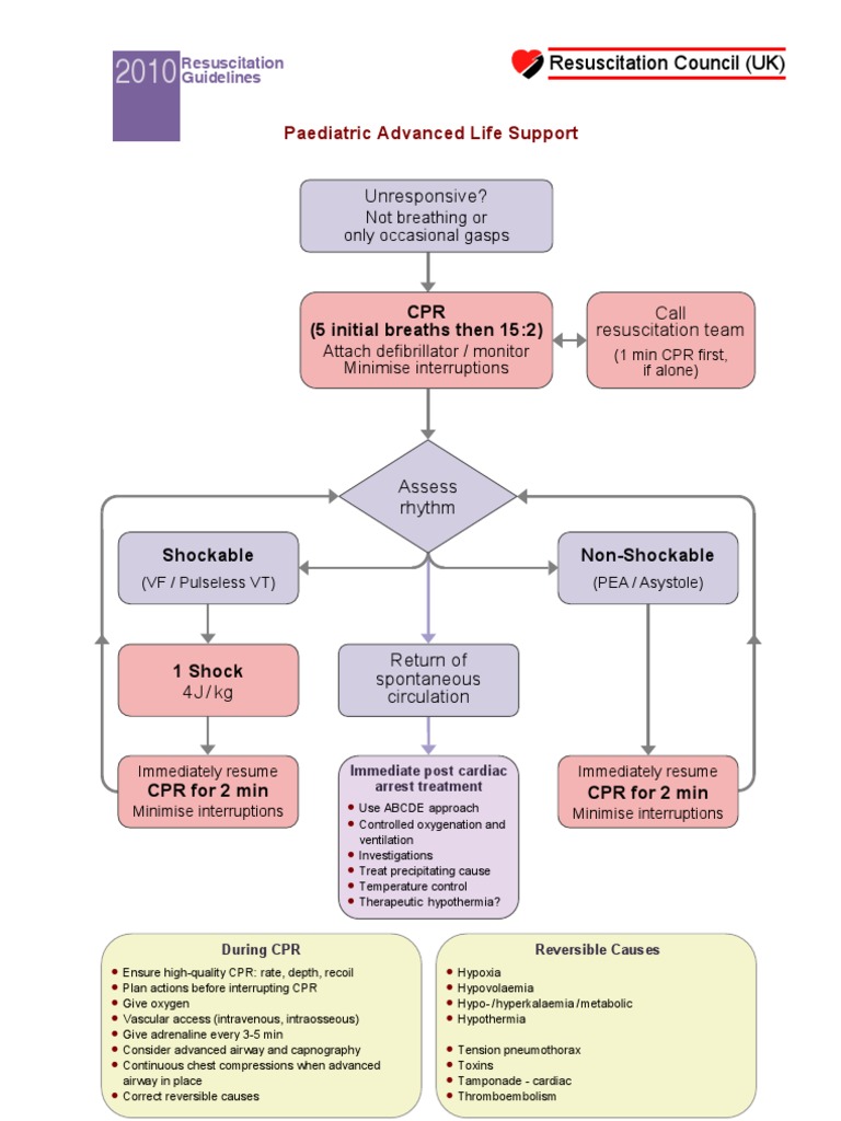 Pediatric Advanced Life Support Algorithms