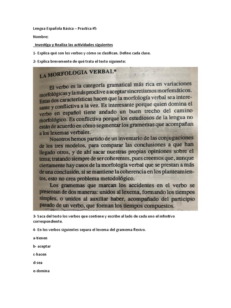 Ejercicios de Verbos en Español | PDF | Crecimiento personal y profesional