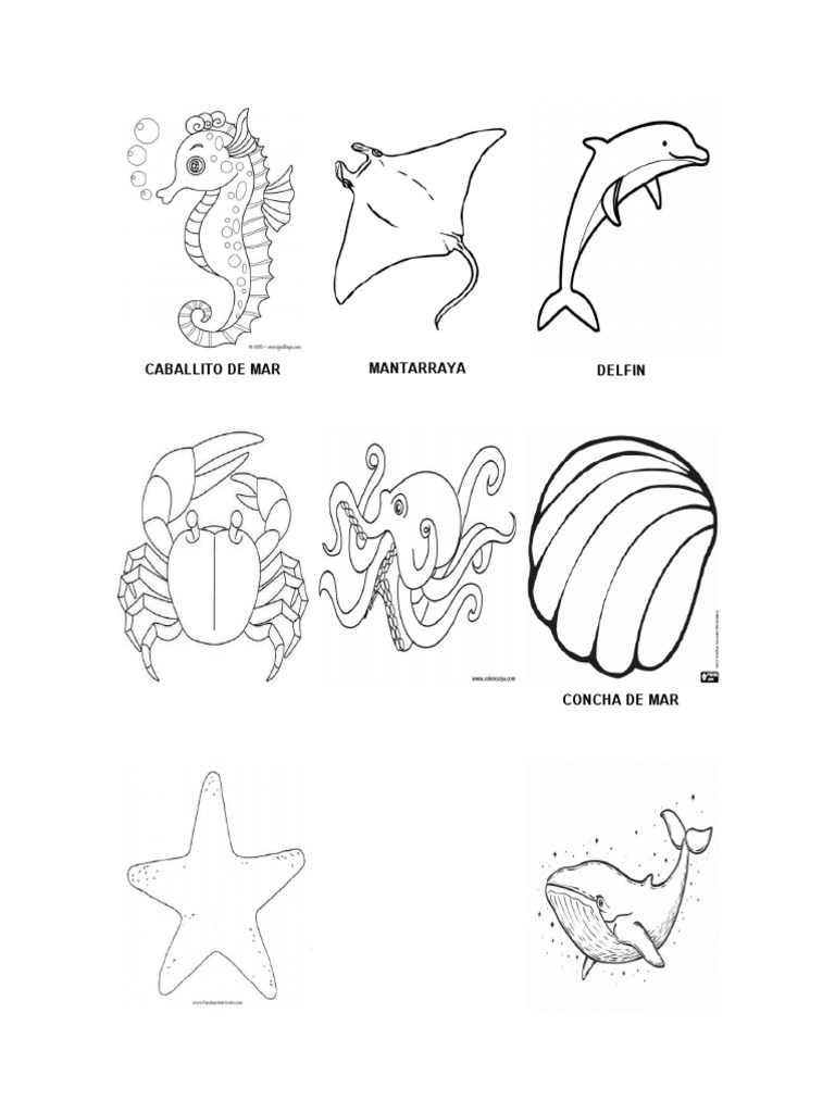 Animales Acuaticos para Colorear | PDF