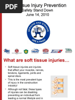 Wisha Caution Zone Checklist | PDF | Sports