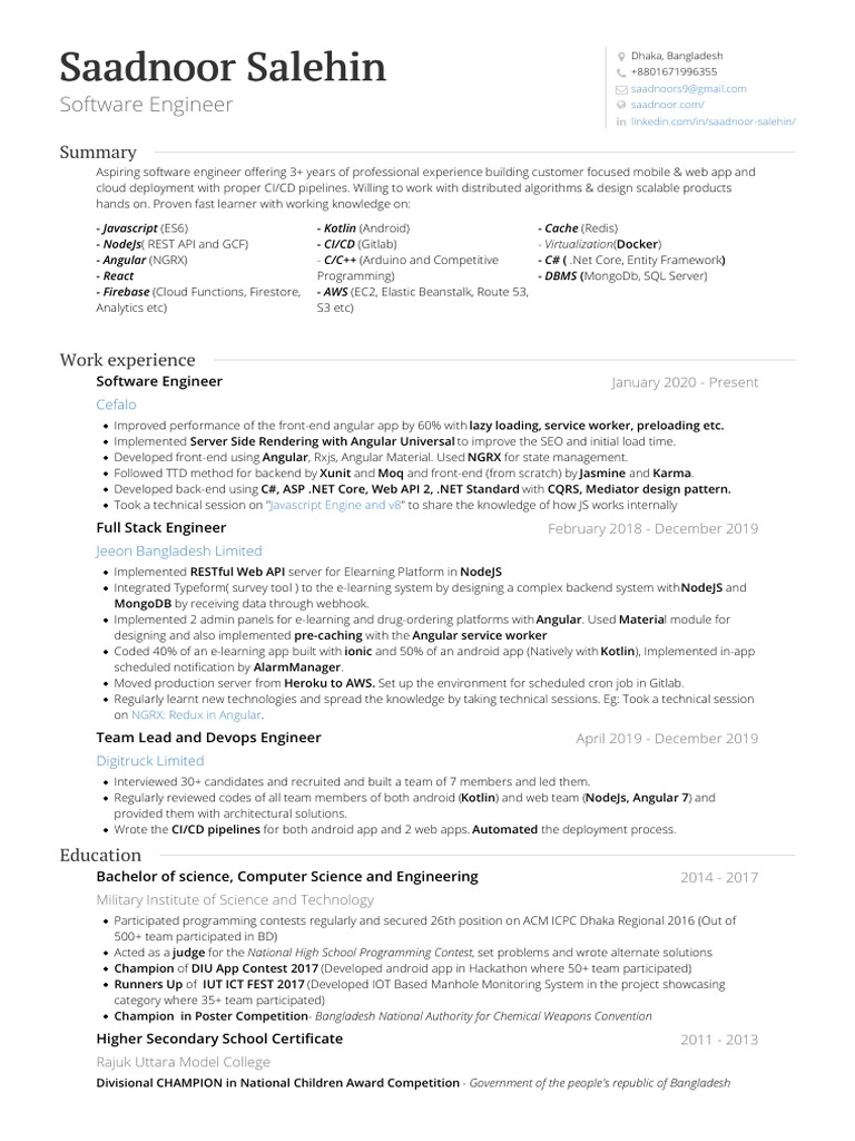 Aspiring Software Engineer Profile | PDF | Web Application ...