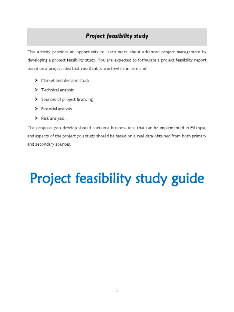 Project Feasibility Study Guide | PDF | Feasibility Study | Net Present ...