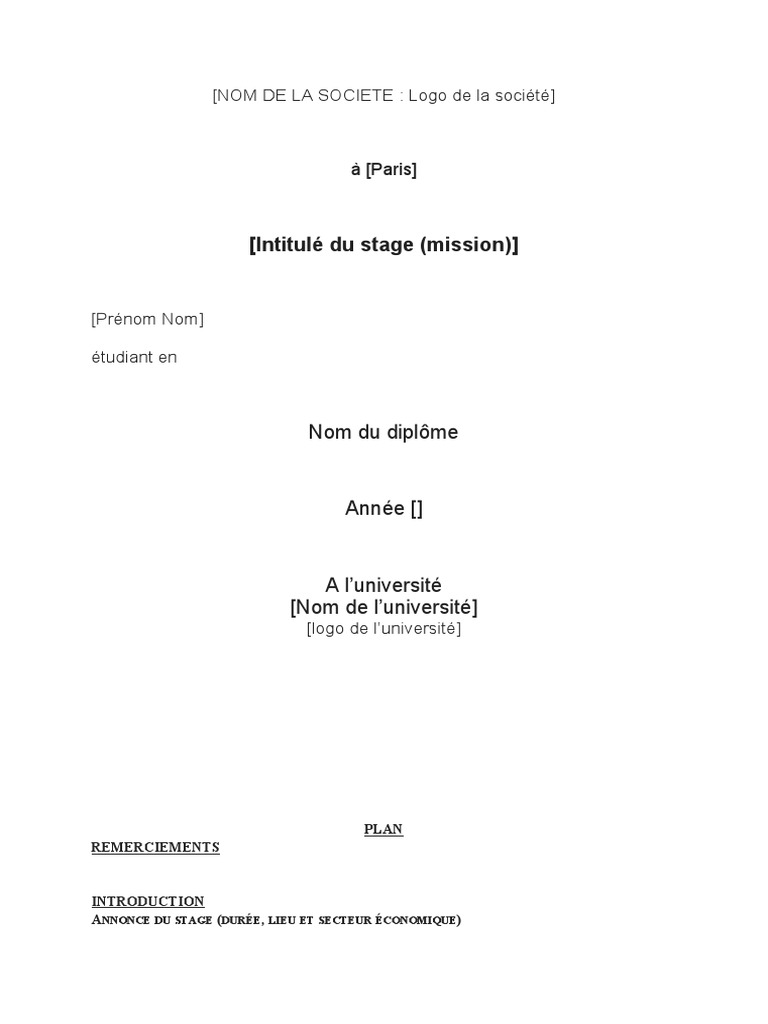 Rapport de Stage | PDF | Artisanat | Sociétés