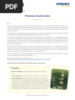 Informe 100 Plantas Medicinales Selva Peruana | PDF