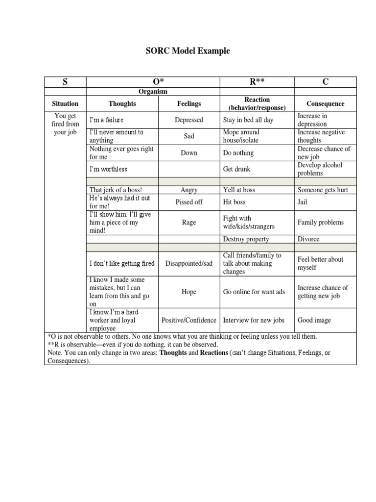 SORC Model Example: Organism Situation Thoughts Feelings Reaction ...