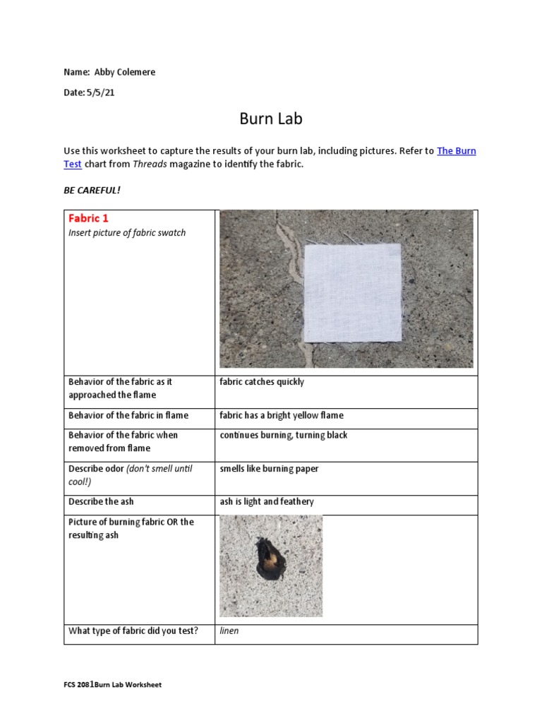 Burn Lab Worksheet - Abby Colemere | PDF