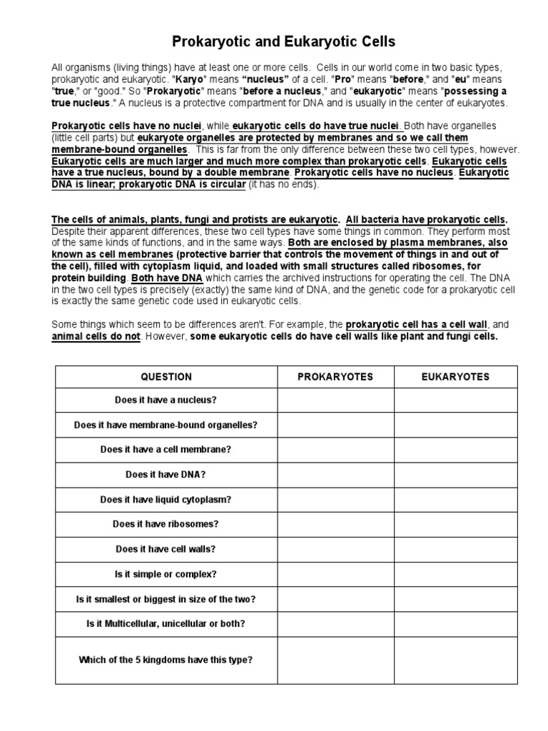 Prokaryotes and Eukaryotes Worksheet | PDF | Prokaryote | Cell (Biology)