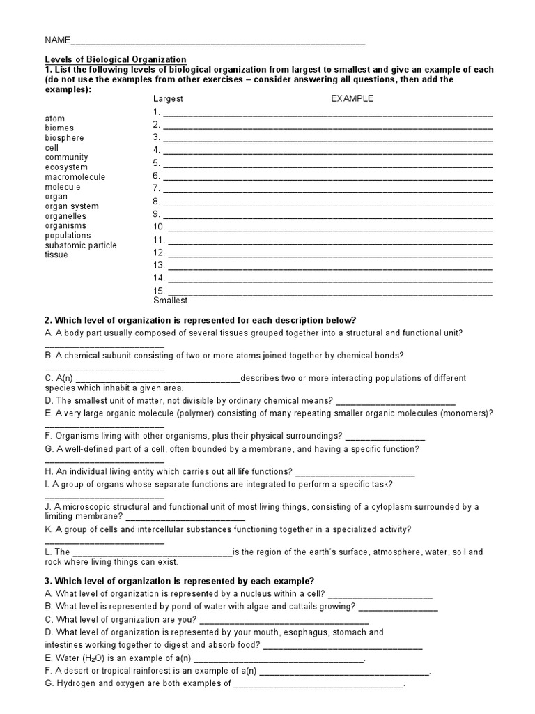 Levels of Biological Organization Another Sheet With Sol | PDF | Cell ...