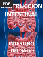Obstrucción Intestinal Por Adherencias y Bridas | PDF | Especialidades ...