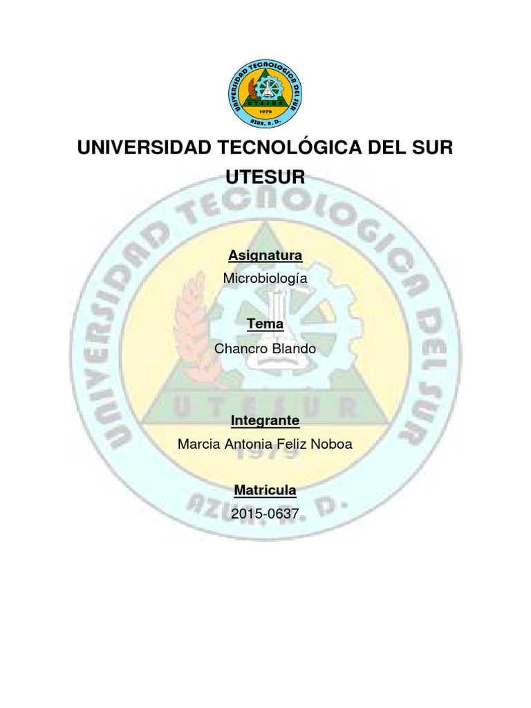 Chancro Blando: Infección de Transmisión Sexual | PDF | Infección ...