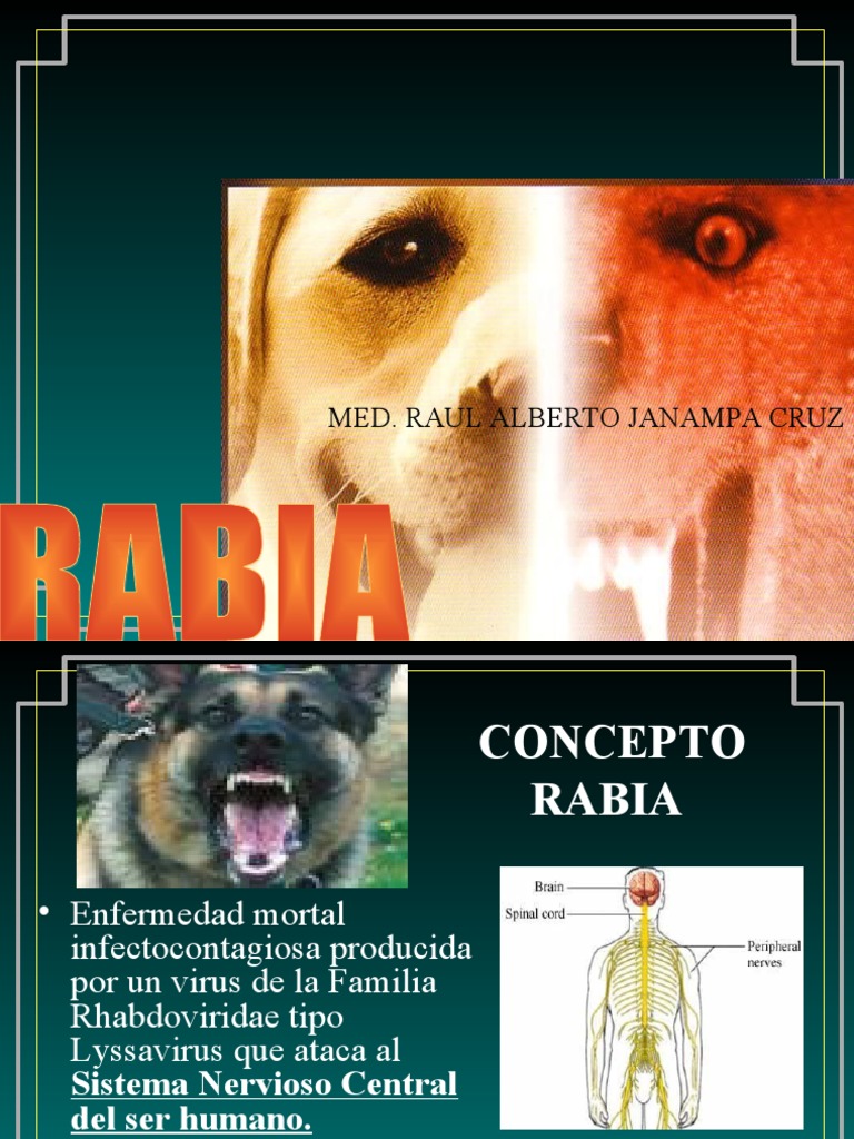 Rabia | PDF | Rabia | Microbiología