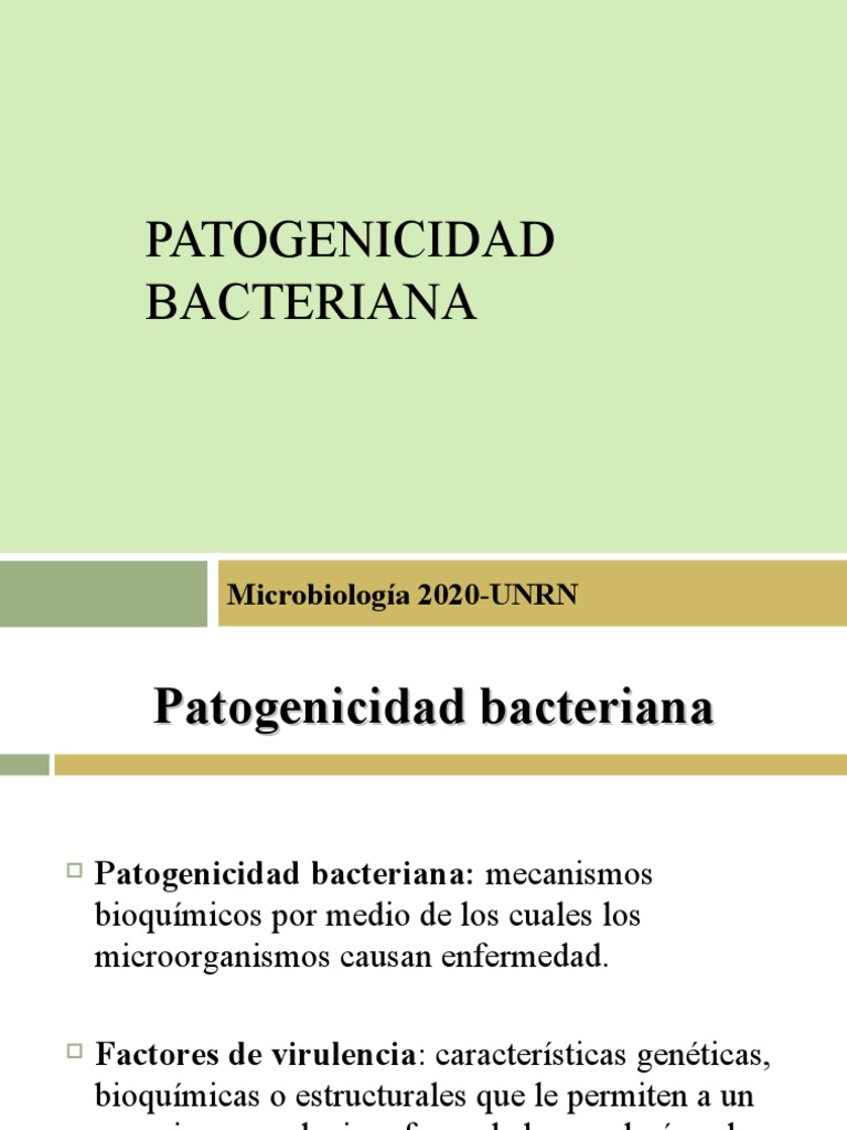 Patogenicidad Bacteriana | PDF | Lipopolisacárido | Las bacterias