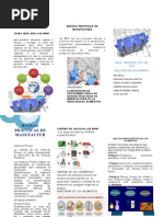 Triptico BPM | PDF | Seguridad alimenticia | Alimentos