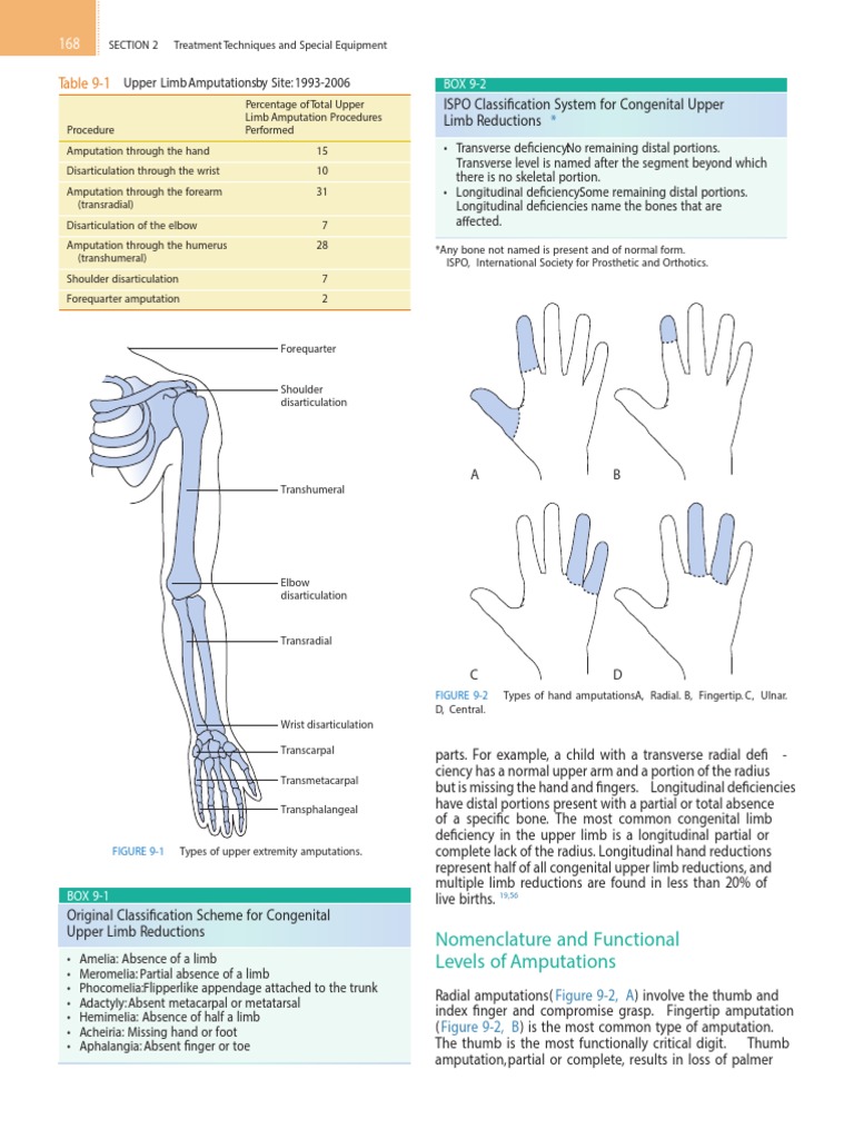 ISPO Classification System For Congenital Upper Limb Reductions | PDF ...
