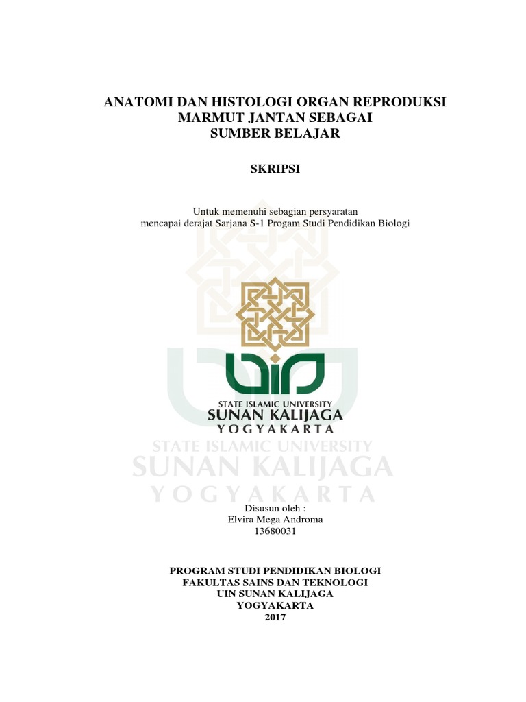 Anatomi Histologi Organ Reproduksi Marmut | PDF | Kajian Bahasa Asing ...