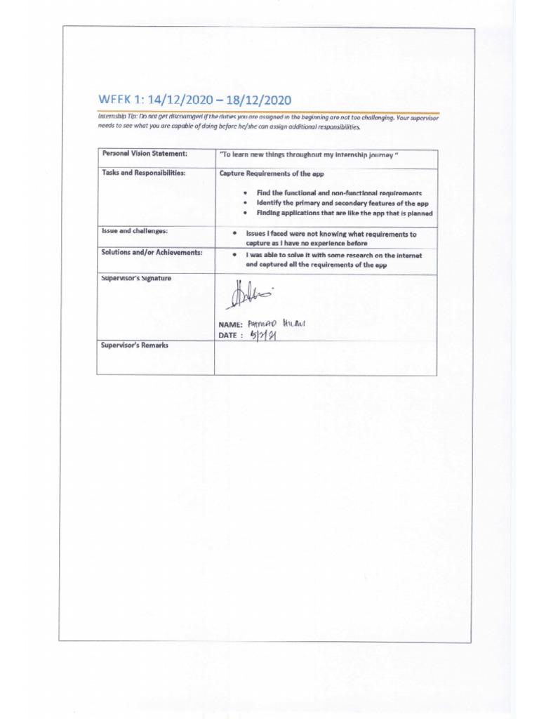 Internship Logbook | PDF