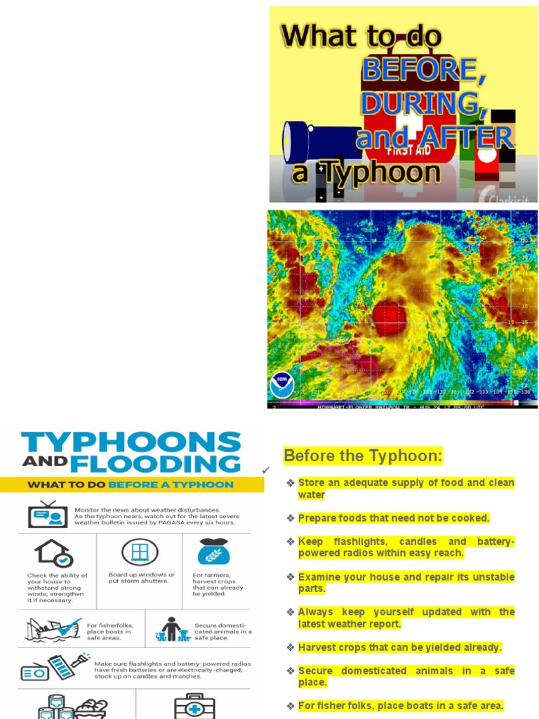 What To Do Before, During and After Typhoon | PDF