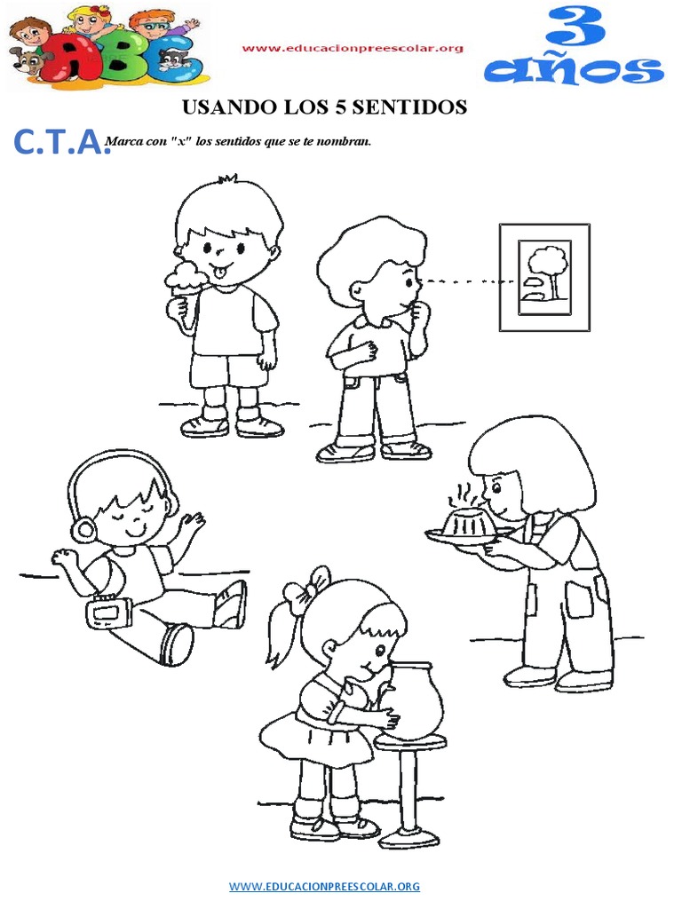Usando Los 5 Sentidos para Niños de 3 Años | PDF