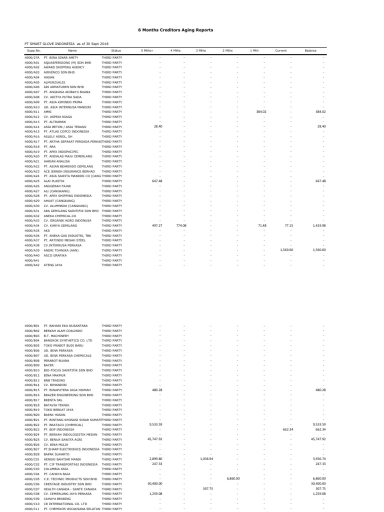 6-Month Creditors Aging Report | PDF | Wellness | Medical