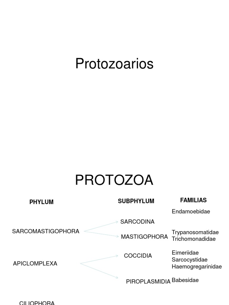 Características morfológicas y ciclos de vida de los principales ...