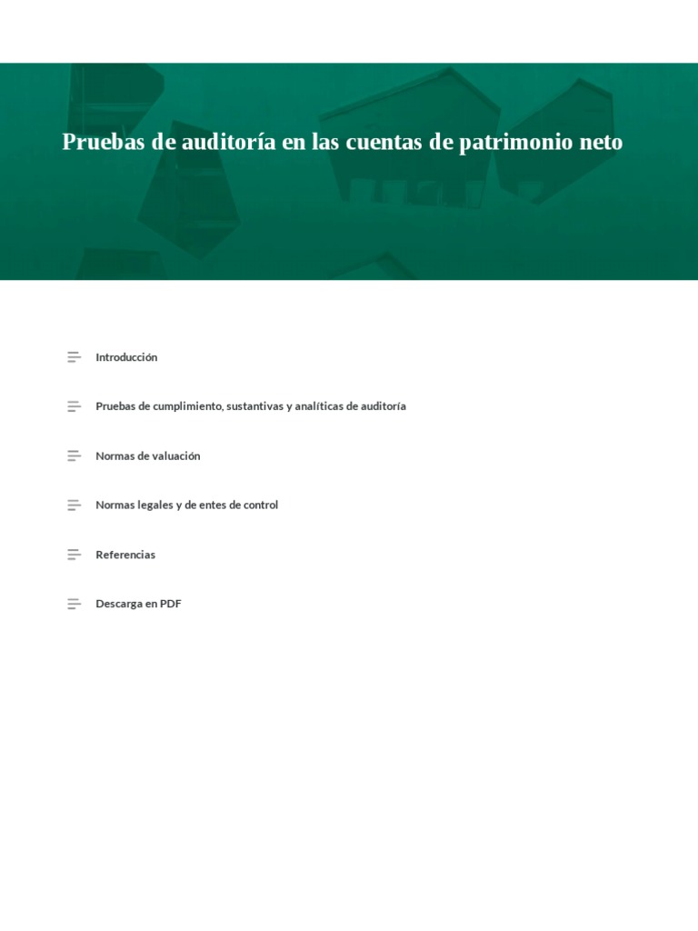 Pruebas De Auditoría En Las Cuentas De Patrimonio Neto Pdf Valor