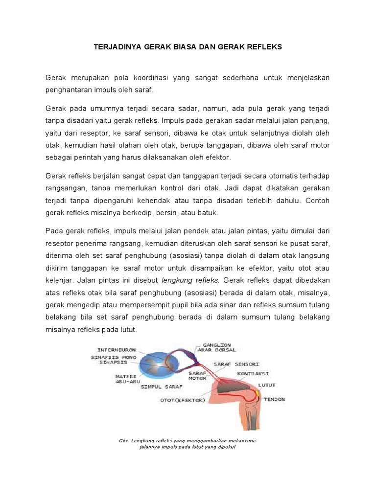 Mekanisme Gerak Biasa dan Refleks | PDF | Filsafat | Pengembangan Diri