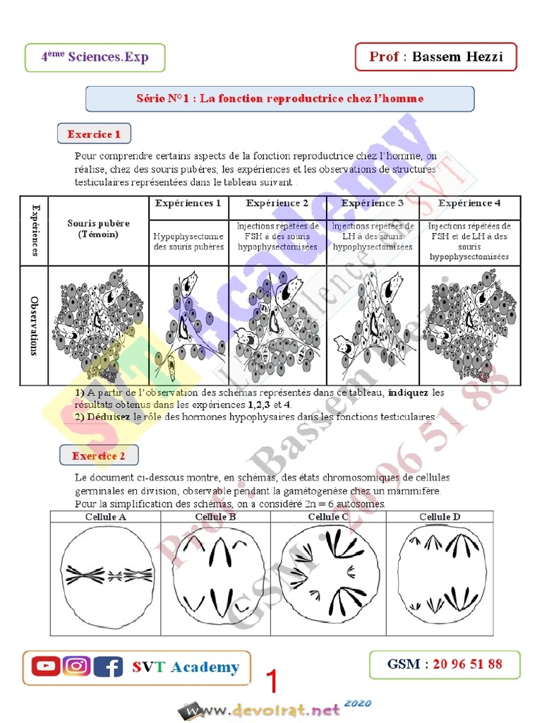 Série D'exercices N°1 Avec Correction - SVT - La Fonction Reproductrice Chez L'homme ...